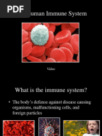 Immune System | PDF | Immune System | Antigen