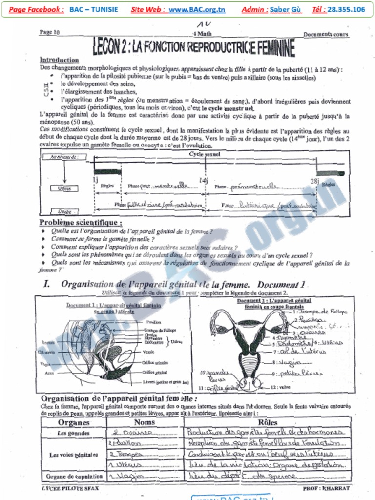 Cour Leçon N°2 - La Fonction Reproduction Feminine - Bac Mathématique ...