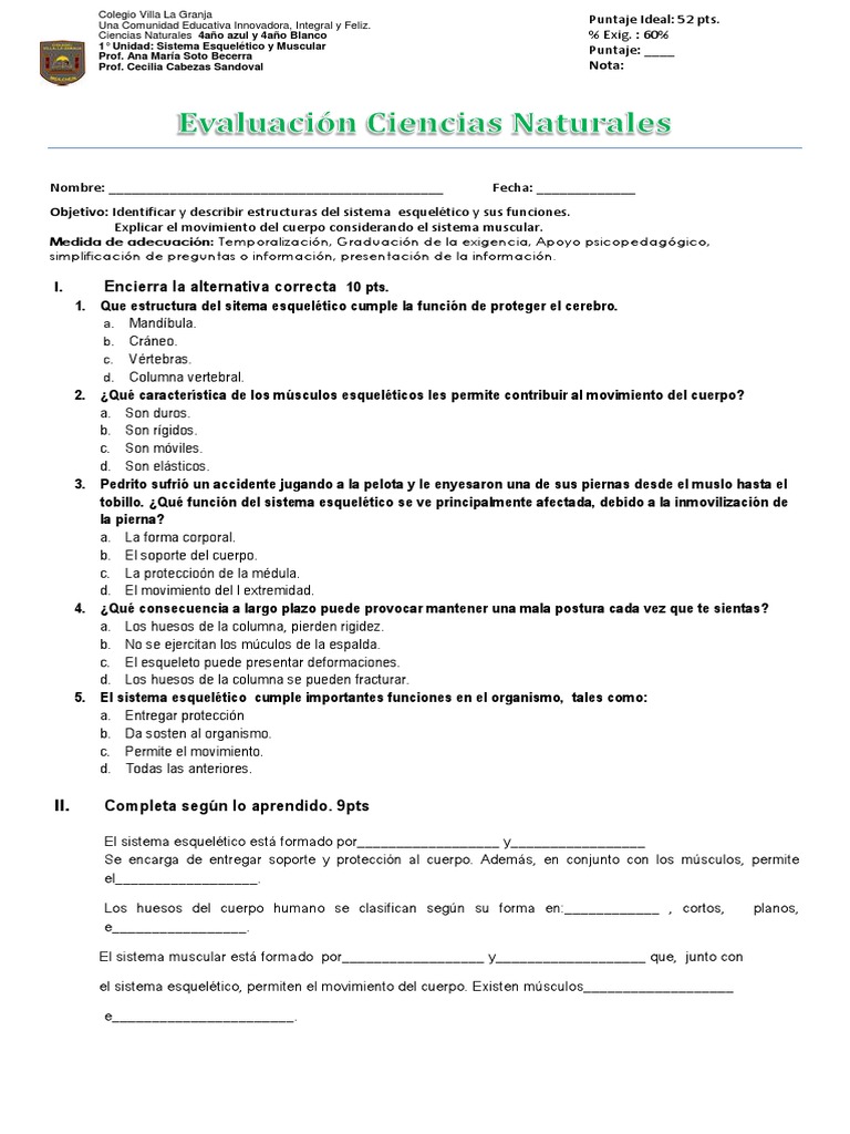 Evaluación del Sistema Esquelético y Muscular | PDF | Músculo | La ...