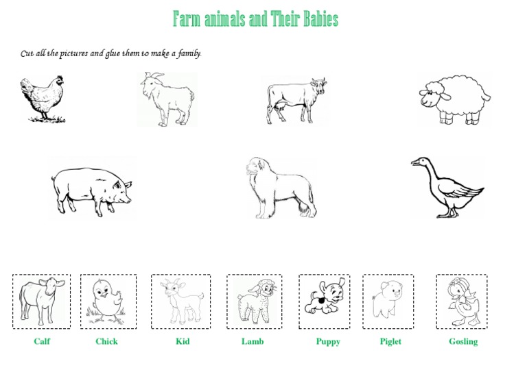 Farm Animals and Their Babies Worksheet | PDF