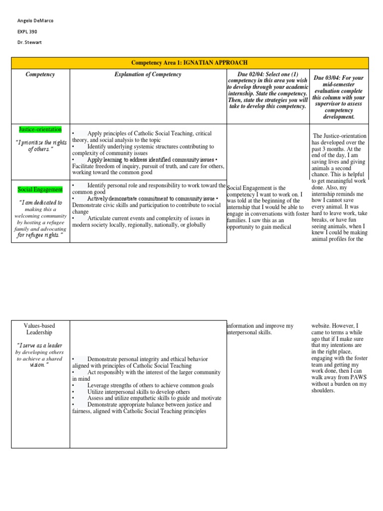 Core Competencies - Mid-Point Evaluation | PDF | Competence (Human ...