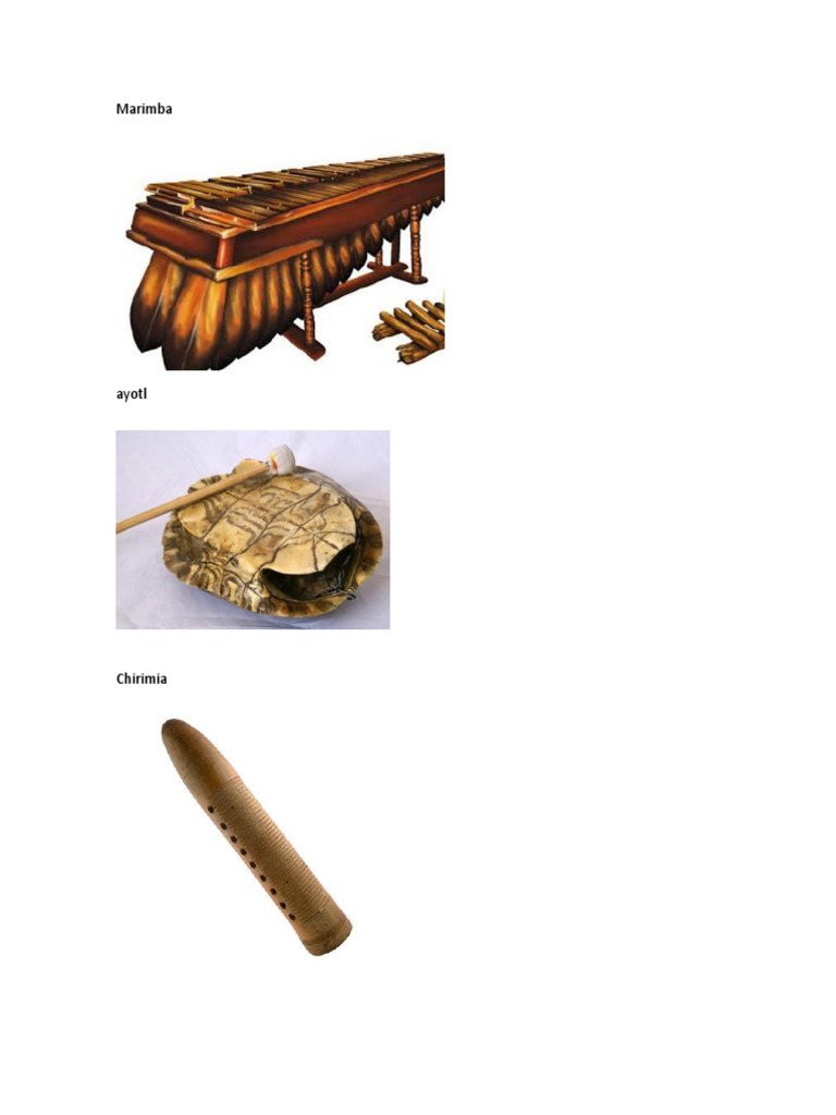 Instrumentos Autoctonos | PDF