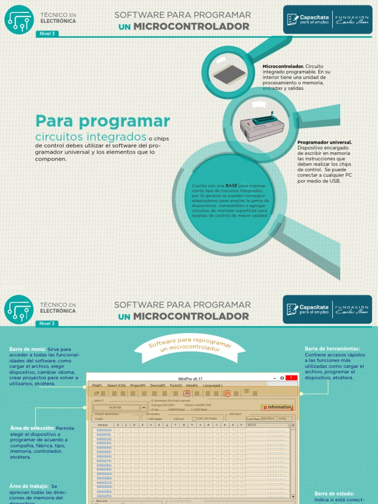 Programación de Microcontroladores | PDF | Microcontrolador | Ingenieria Eléctrica