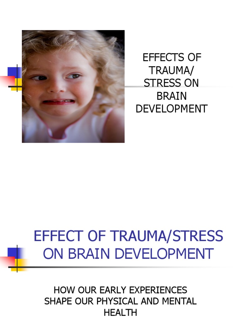 Trauma On Brain Development | PDF | Stress (Biology) | Substance Abuse