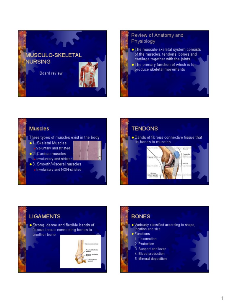Nursing Management of Common Musculoskeletal Problems | PDF | Gout ...