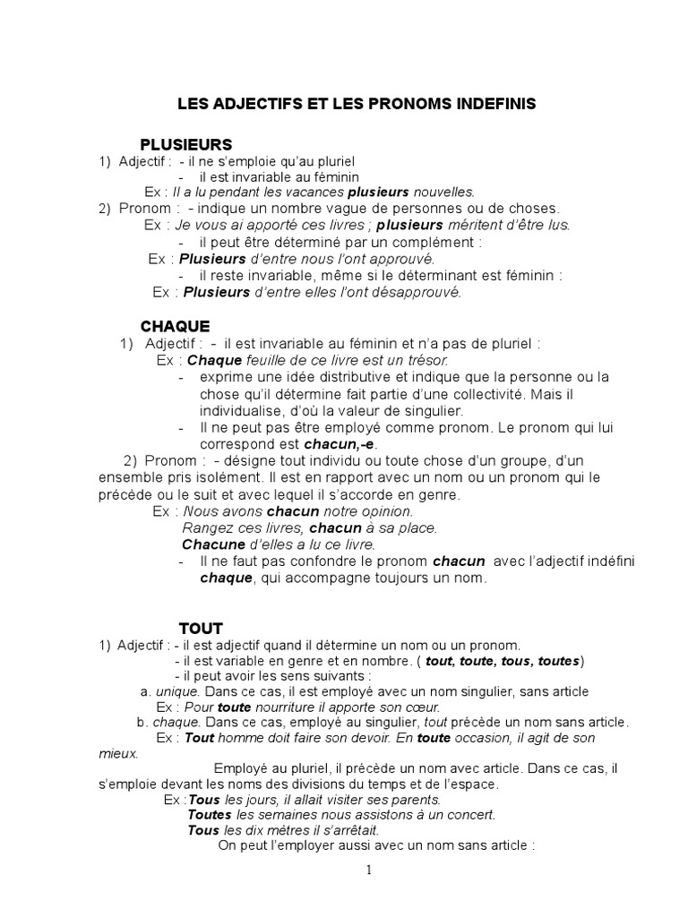 Adjectifs et Pronoms Indéfinis en Français | PDF | Pronom | Nombre ...