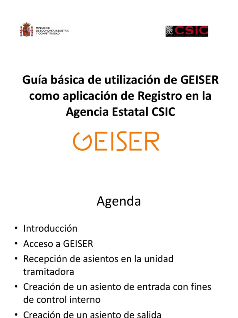 Guía Básica de Utilización de GEISER Como Aplicación | PDF