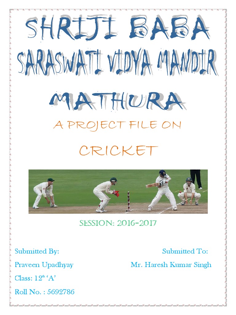 Cricket Project 2016-2017 | PDF | Sports | Violence
