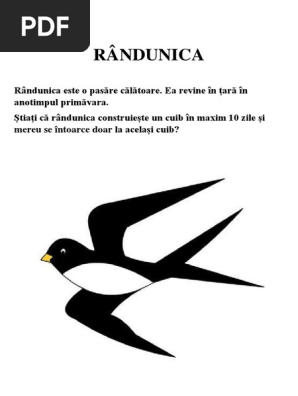 Randunica