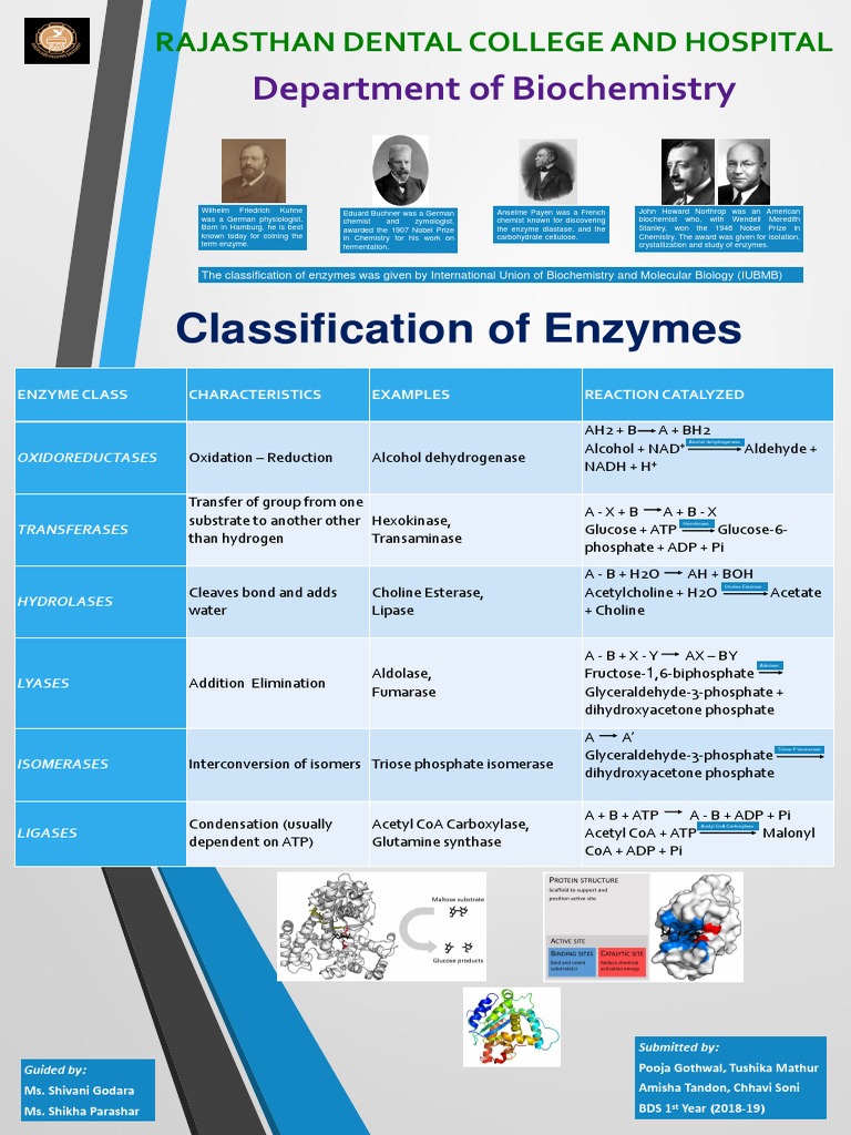 Classification of Enzymes | PDF | Enzyme | Adenosine Triphosphate