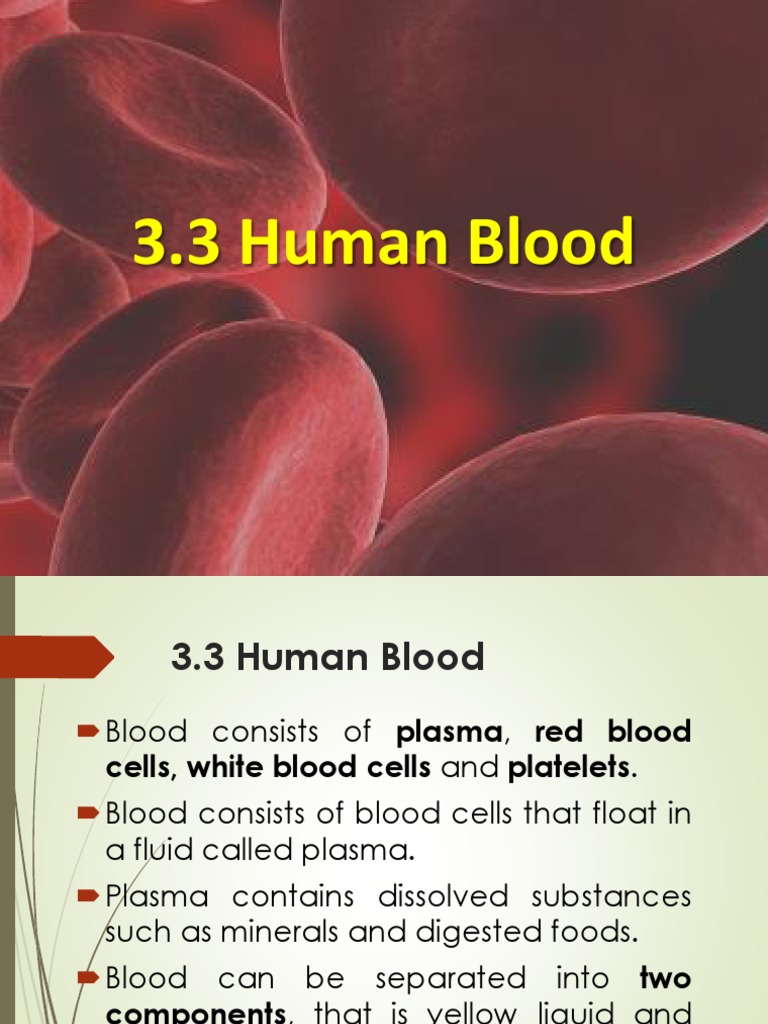 Form 3 CH 3 | PDF | Stoma | Blood Type