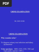 Urine Microscopic Exam Reference Chart | PDF