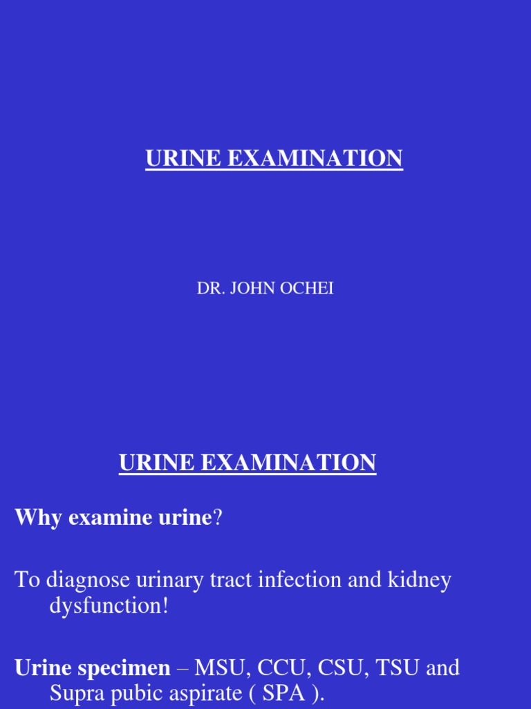 Urine Examination | PDF | Urine | Urology
