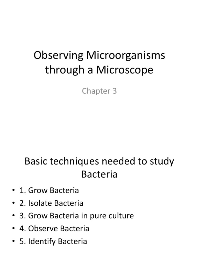 Chapter 3. Isolasi Dan Identifikasi Bakteri | PDF | Staining | Gram ...