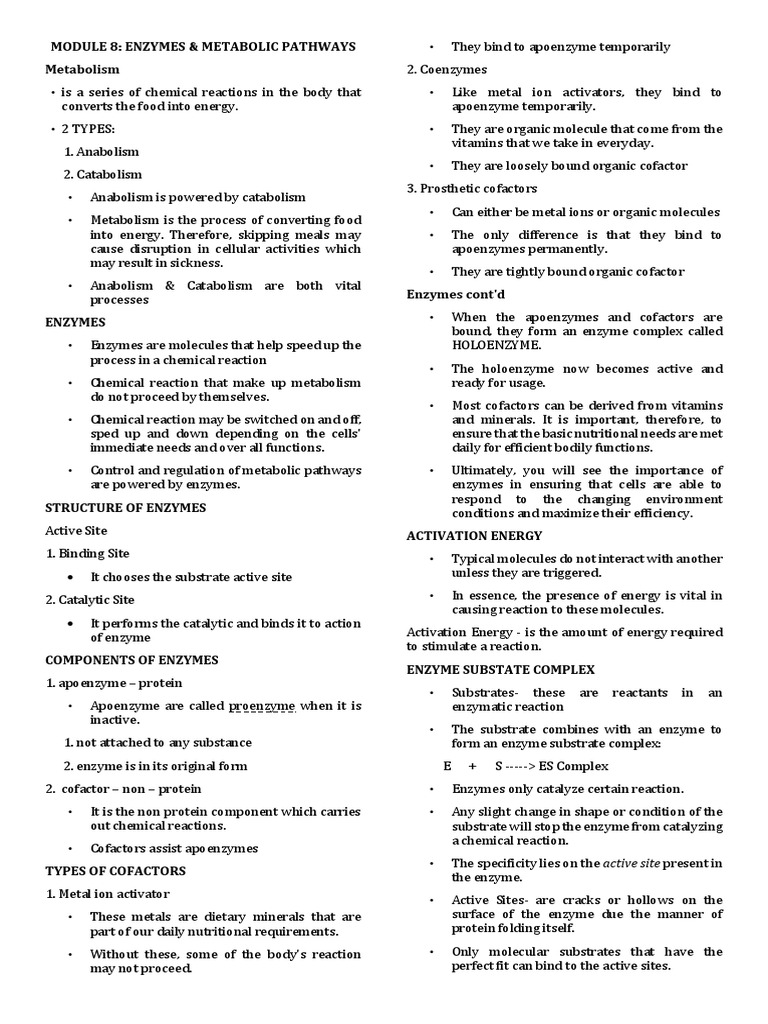 Module 8: Enzymes & Metabolic Pathways Metabolism | Download Free PDF ...