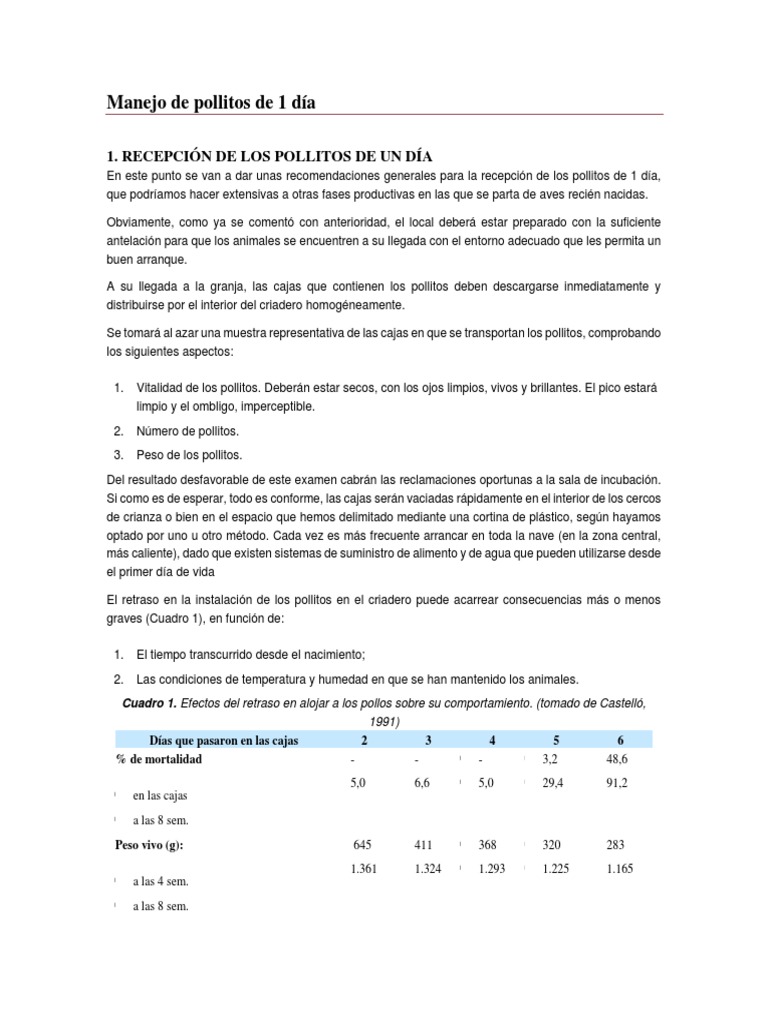 Manejode Reproductoras | PDF | Caldera | Pollo