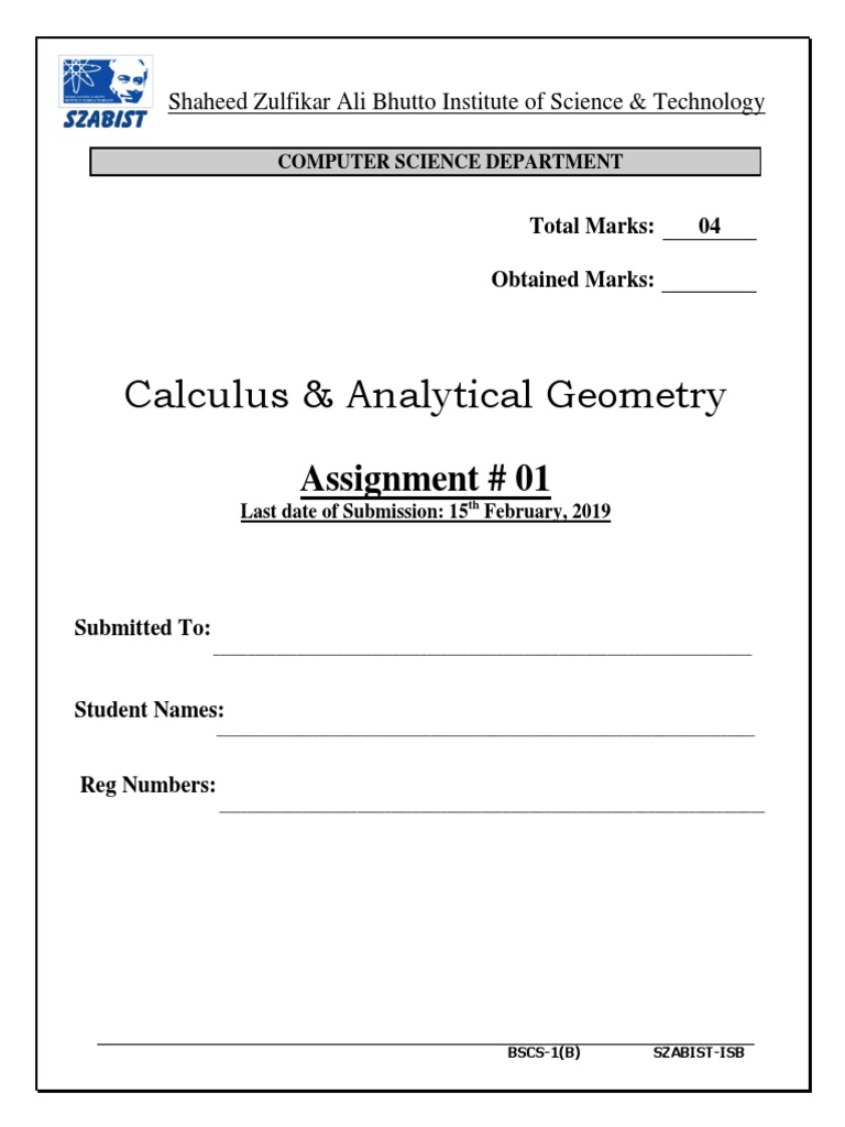 CAG Assignment 01 | PDF