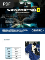 Cistocentesis | PDF | Vejiga urinaria | Ciencias de la Salud