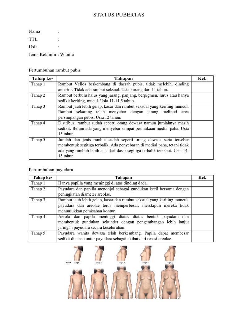 Status Pubertas | PDF