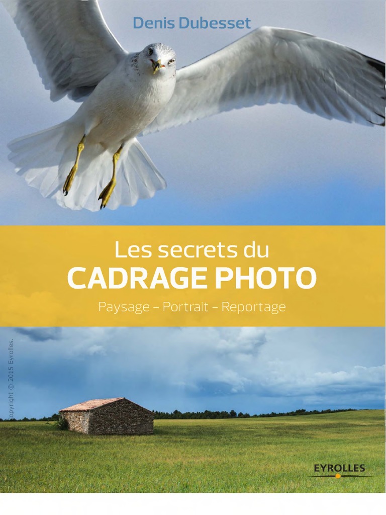 Les Secrets Du Cadrage Photo PDF | PDF