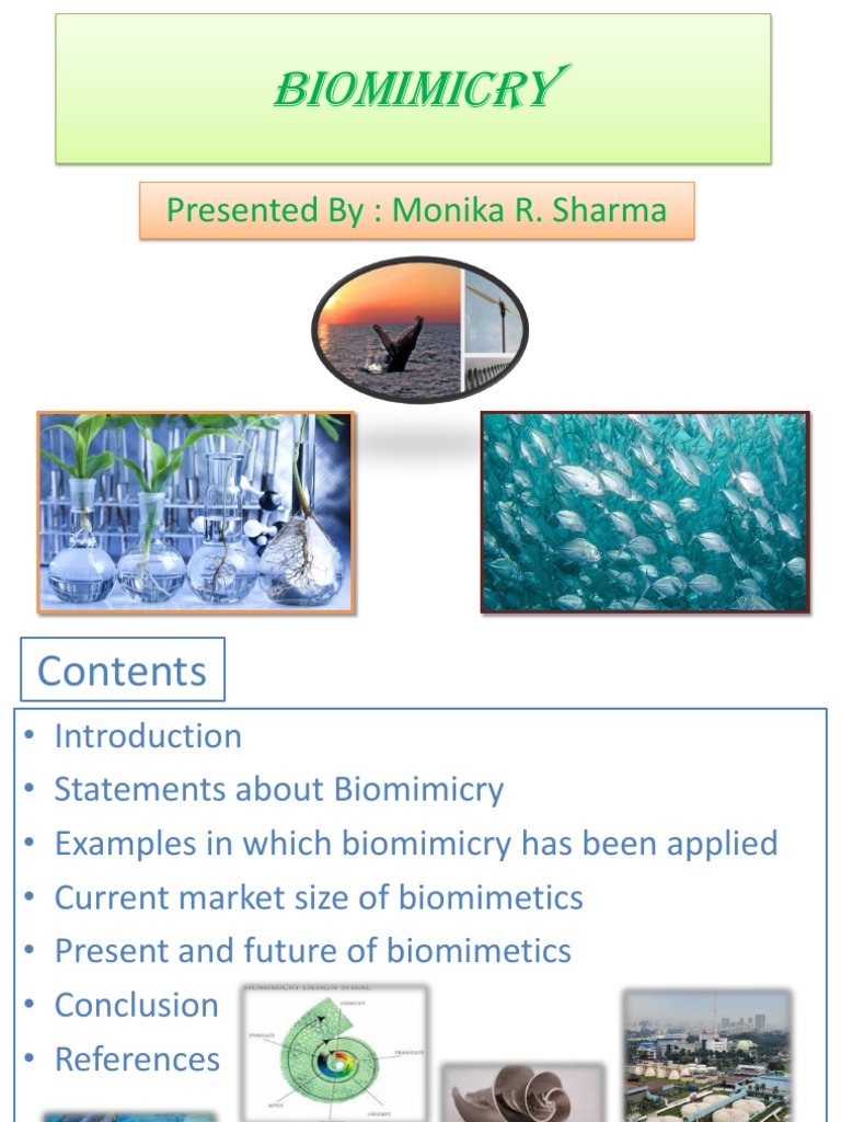 Biomimicry PPT NSD | PDF | Nanotechnology | Engineering