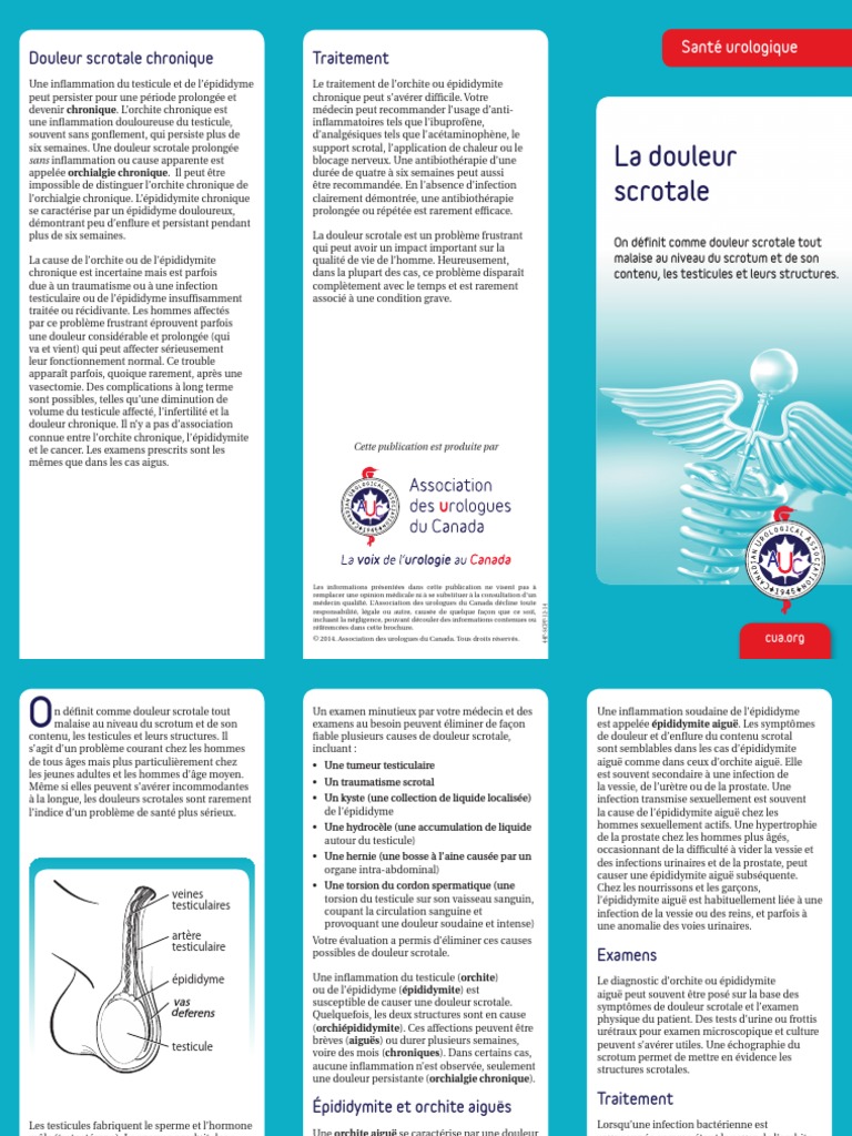 44f-Douleur Scrotale S PDF | PDF | Testicule | Douleur