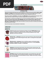 Specialised Animal Cells - Living Organisms - KS3 Biology - BBC ...