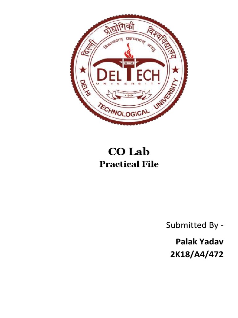 Palak-CO Lab File | PDF | String (Computer Science) | Exponentiation