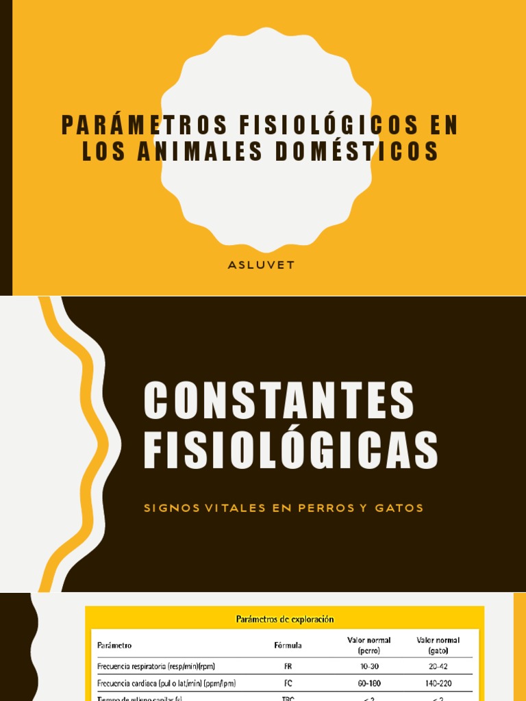 Parámetros Fisiológicos en Los Animales Domésticos | PDF