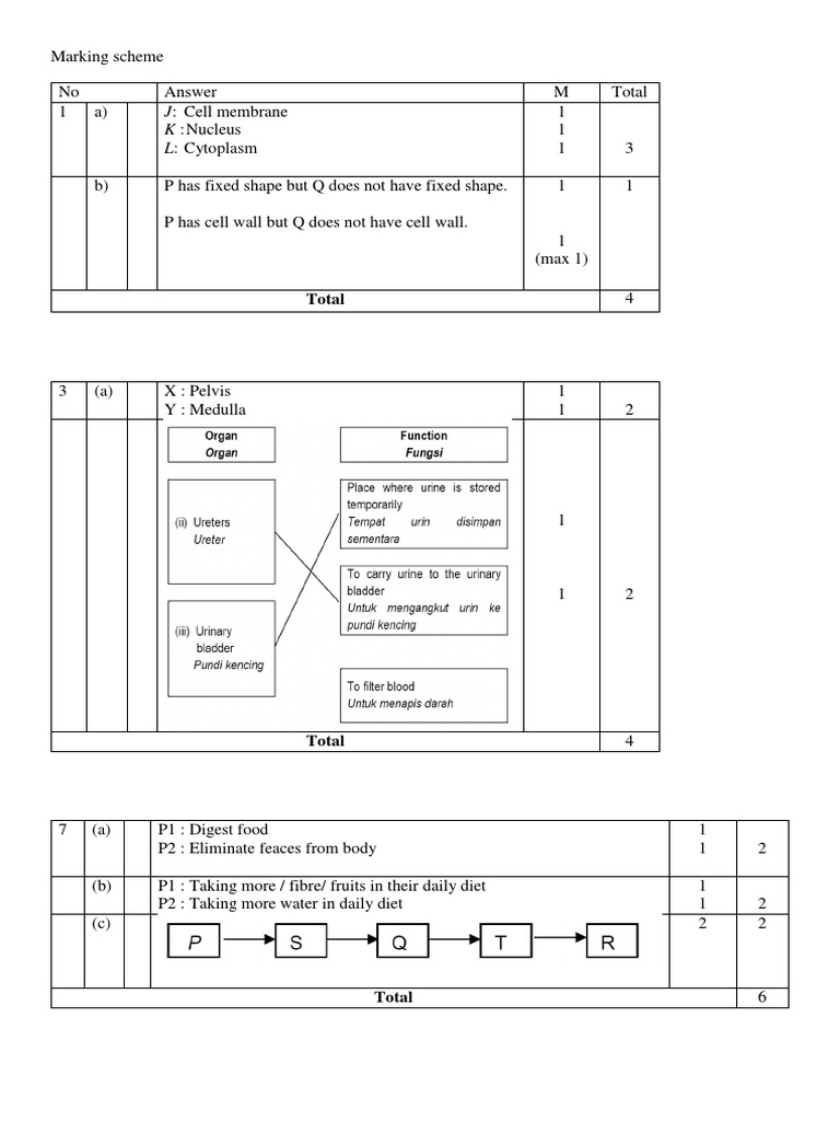 Marking Scheme PPT SCIENCE F3 2018 | PDF | Combustion | Carbon