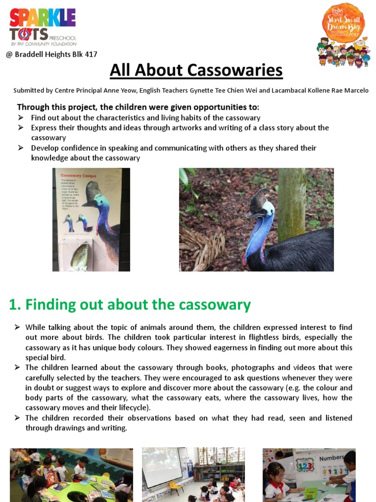 NEL Portal Activity Idea Flora and Fauna All About Cassowaries PCF ...