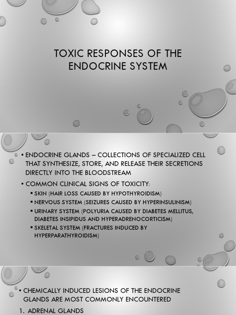 Endocrine System Toxicity Overview | PDF | Adrenal Gland | Thyroid