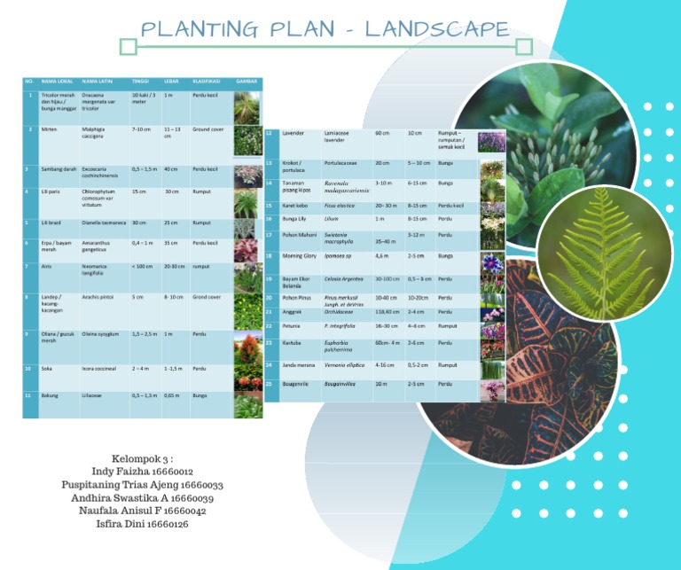 Planting Plan | PDF