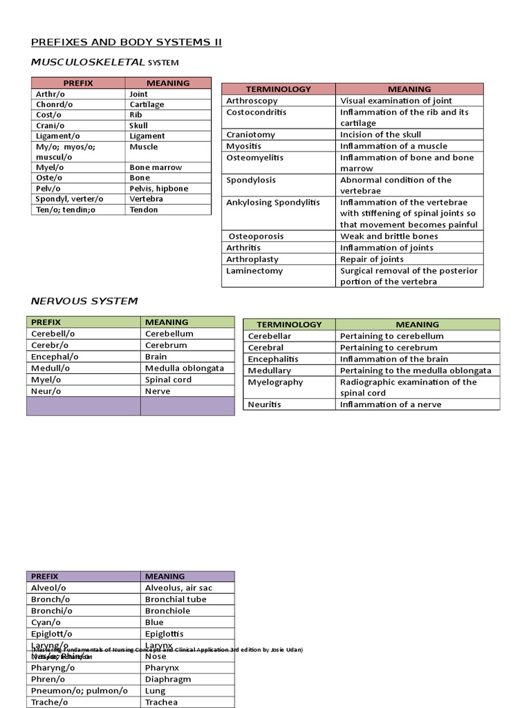 Musculoskeletal: Prefixes and Body Systems Ii | PDF | Respiratory Tract ...