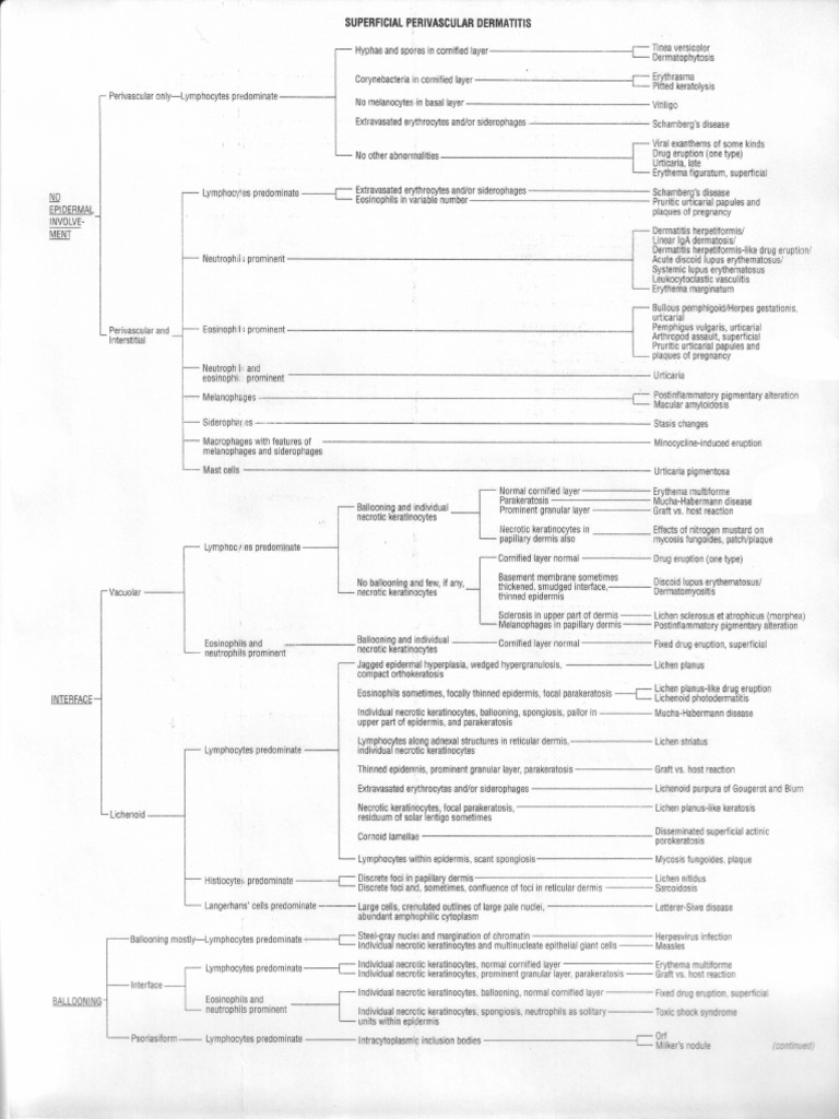 Ackerman's Dermatitis Algorithm | PDF