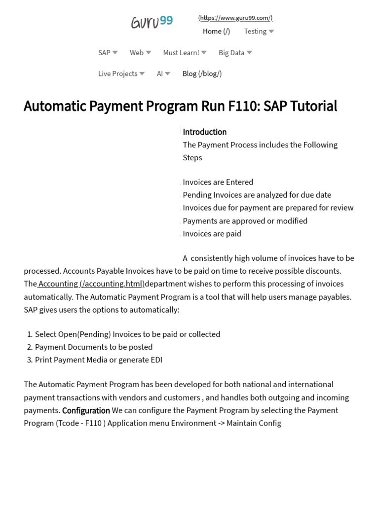 Automatic Payment Program Run F110 - SAP Tutorial | PDF | Accounts Payable | Payments