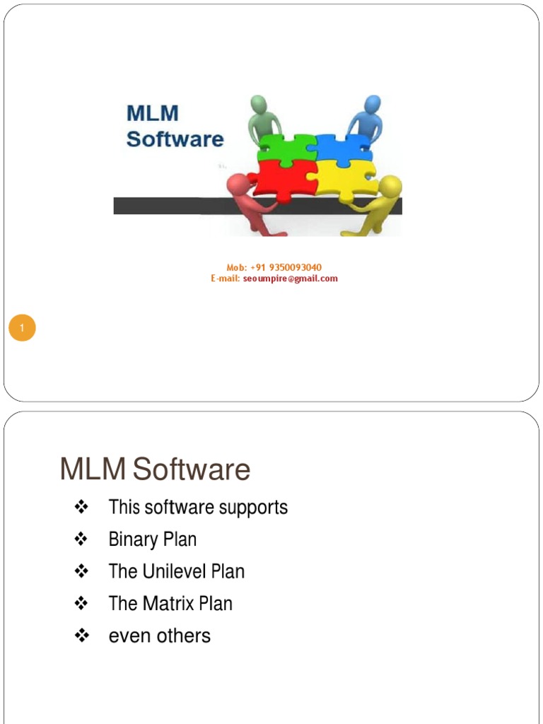 MLM Presentation | PDF