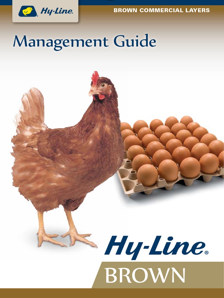 Hy-Line Brown Layer Management Guide PDF | PDF | Beak | Birds
