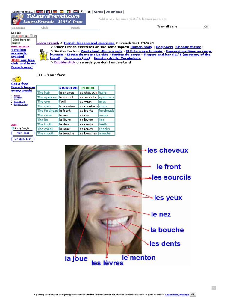 FLE - Your Face: Learn French | PDF | Verb | Linguistic Morphology