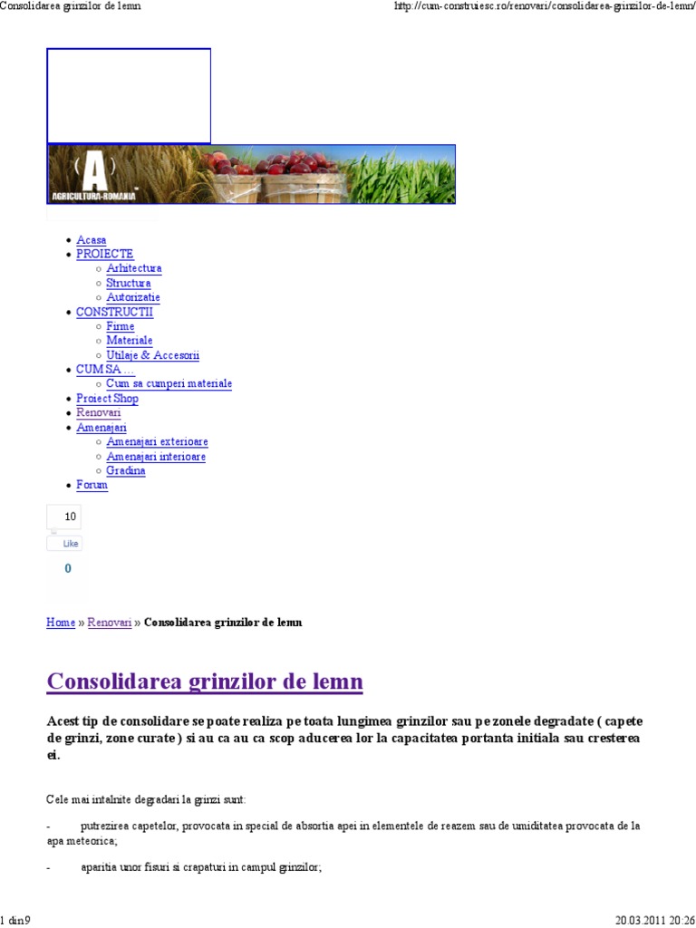 Consolidarea Grinzilor de Lemn PDF | PDF