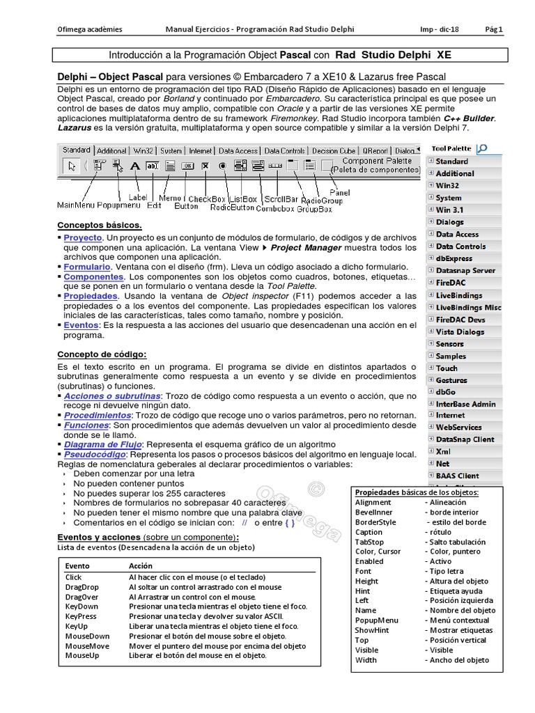 Delphi Xe Manual | PDF | Ingeniería de software | Programación de computadoras