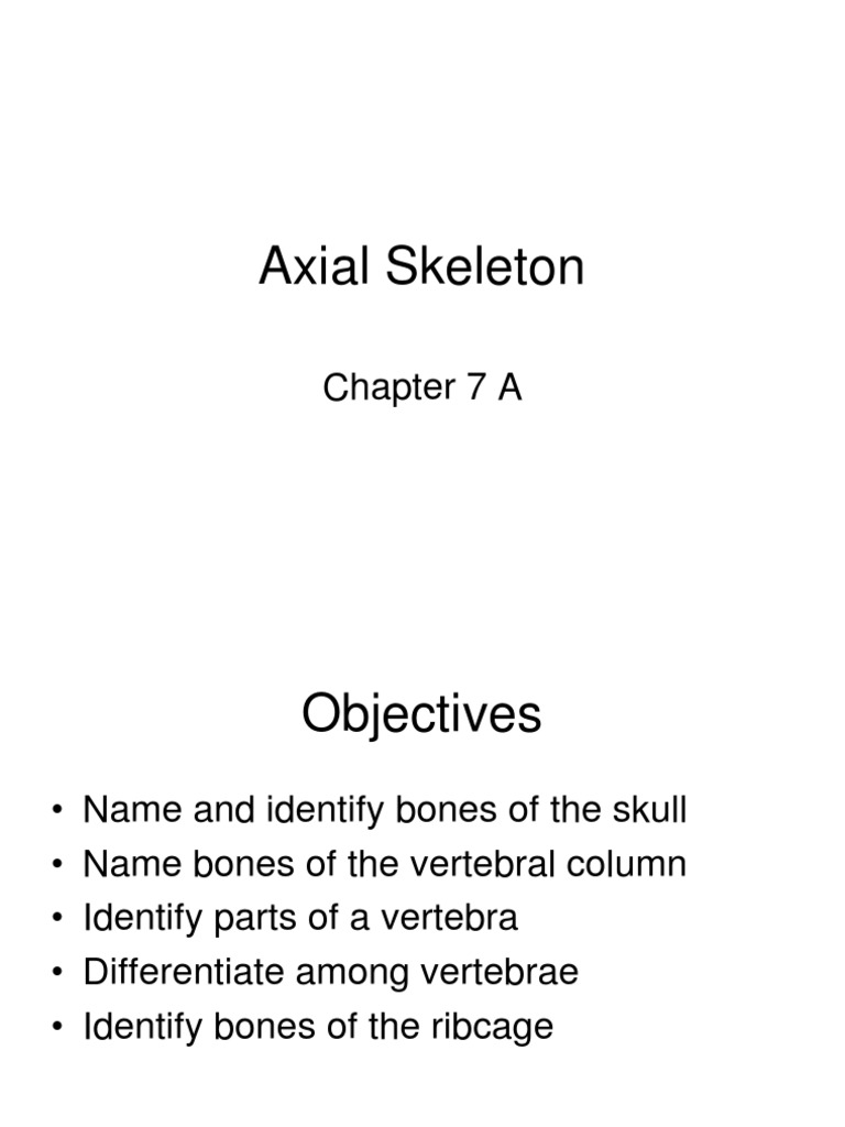 Chapter 7 Axial Skeleton | PDF | Vertebra | Vertebral Column
