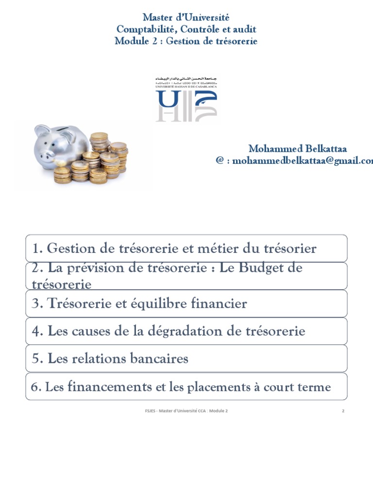 Gestion de trésorerie | PDF | Fonds de roulement | Trésor