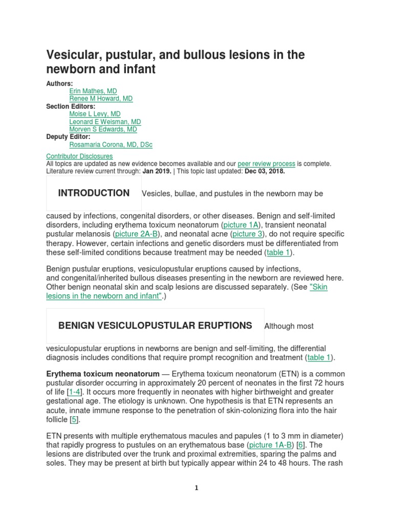 Vesicular, Pustular, and Bullous Lesions in The Newborn and Infant ...