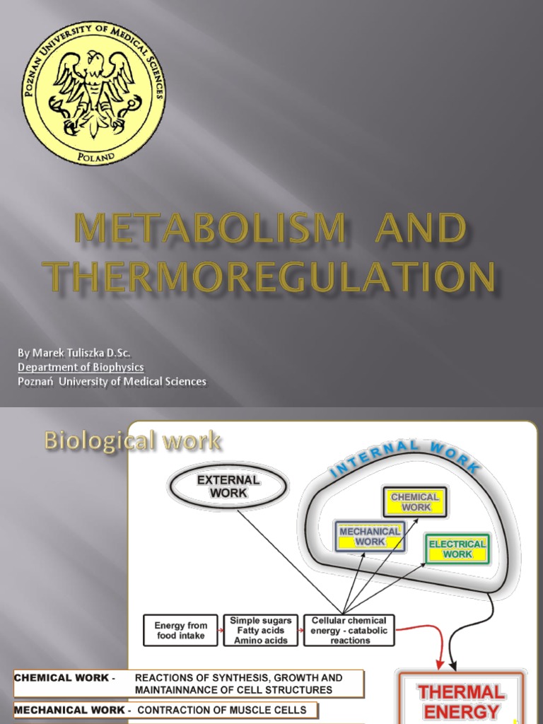 Thermoregulation 2017 Handouts PDF | PDF | Heat Transfer | Thermal ...