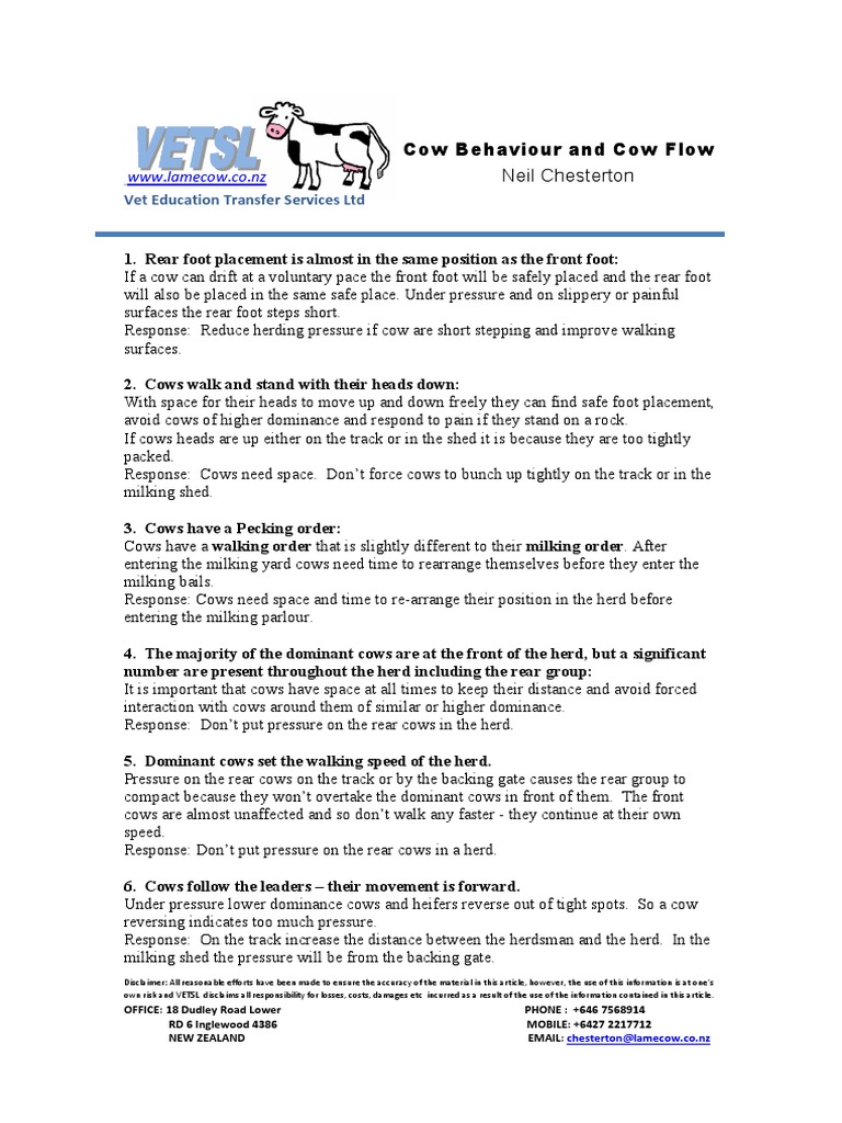 12 Cow Behaviours and Cow Flow | PDF | Cattle | Nature