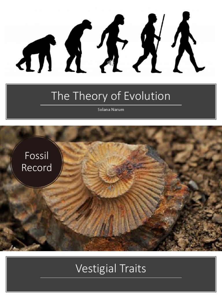 Understanding the Theory of Evolution | PDF | Social Science