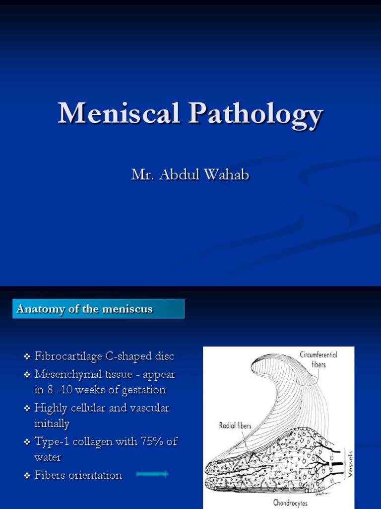Understanding Meniscal Pathology and Treatment | PDF | Knee | Joints