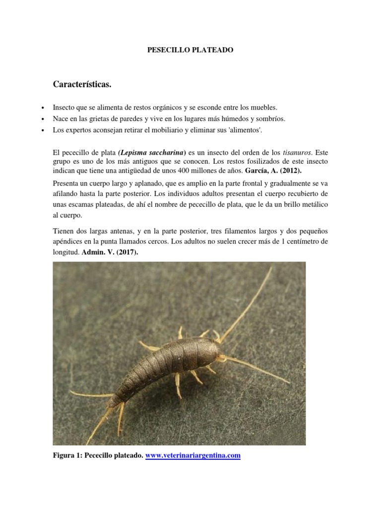 Pececillo de Plata: Características y Ciclo de Vida | PDF | Insectos ...