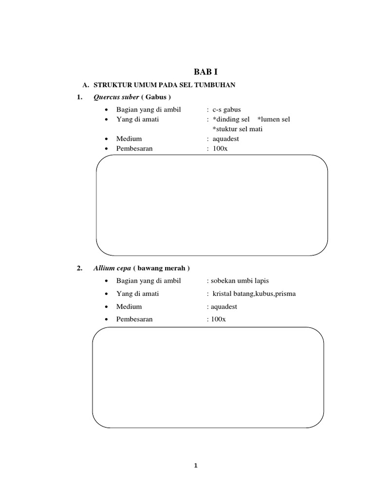 Anatomi Tumbuhan | PDF | Griya & Taman | Kesehatan Holistik